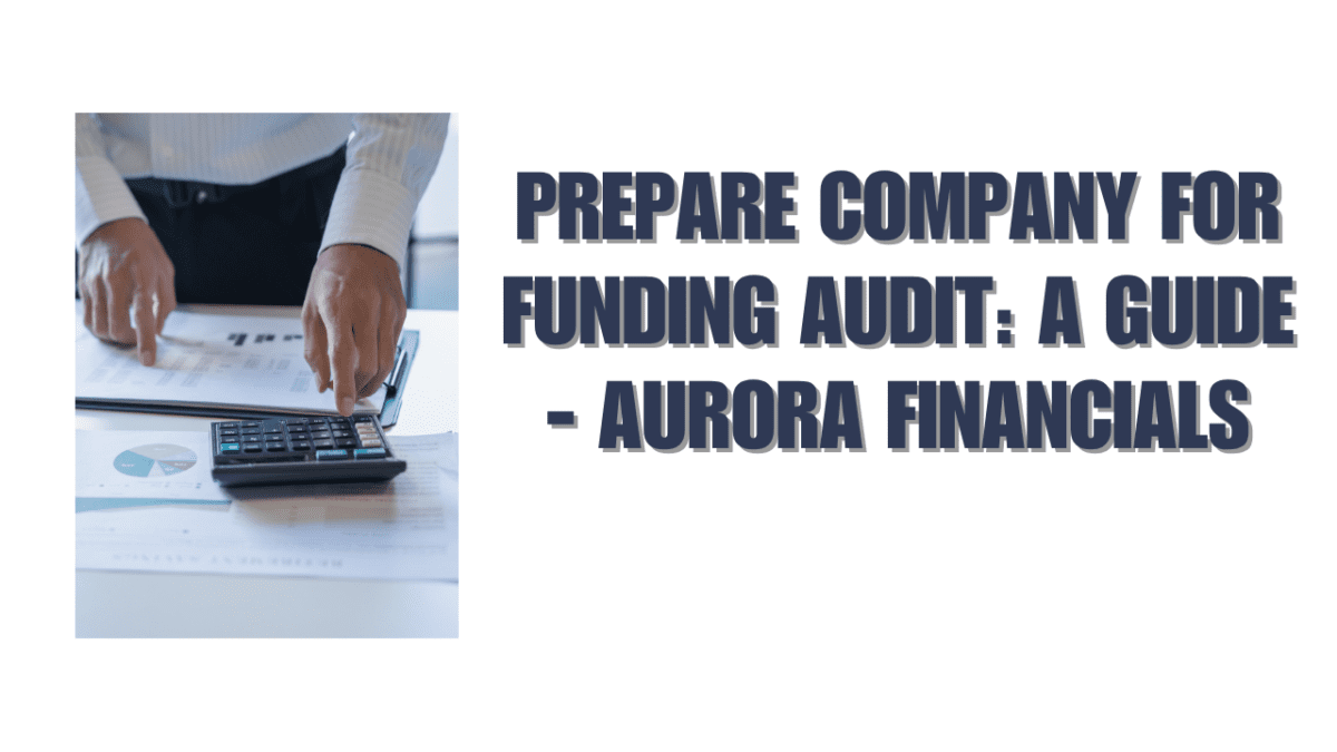 Understanding Audit Benchmarks for Better Insights - Aurora Financials